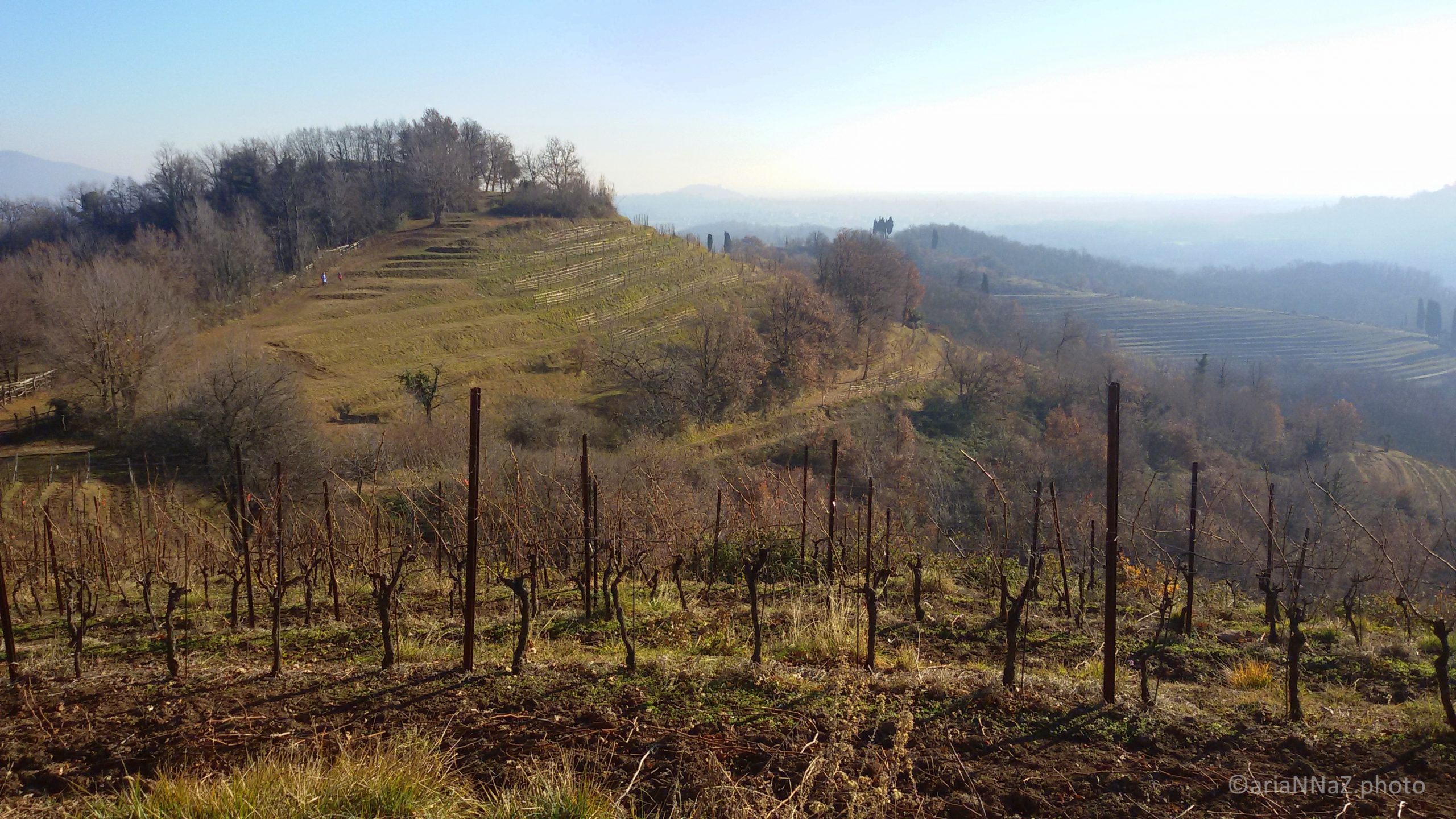Ai cipressi di Montevecchia, le piramidi del mistero - Strade Cinofile