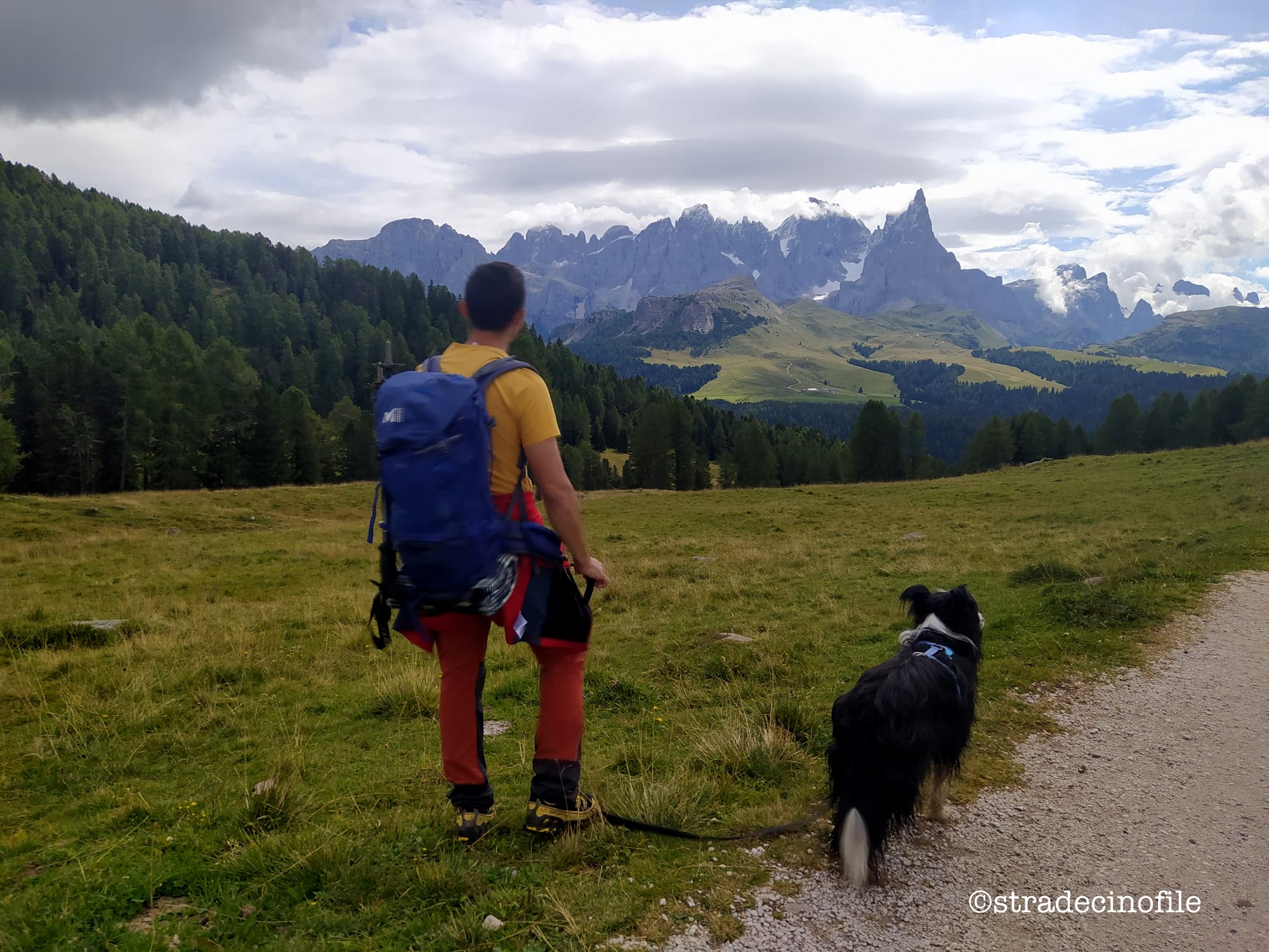 Passeggiata a Malga Bocche con il cane - Strade Cinofile